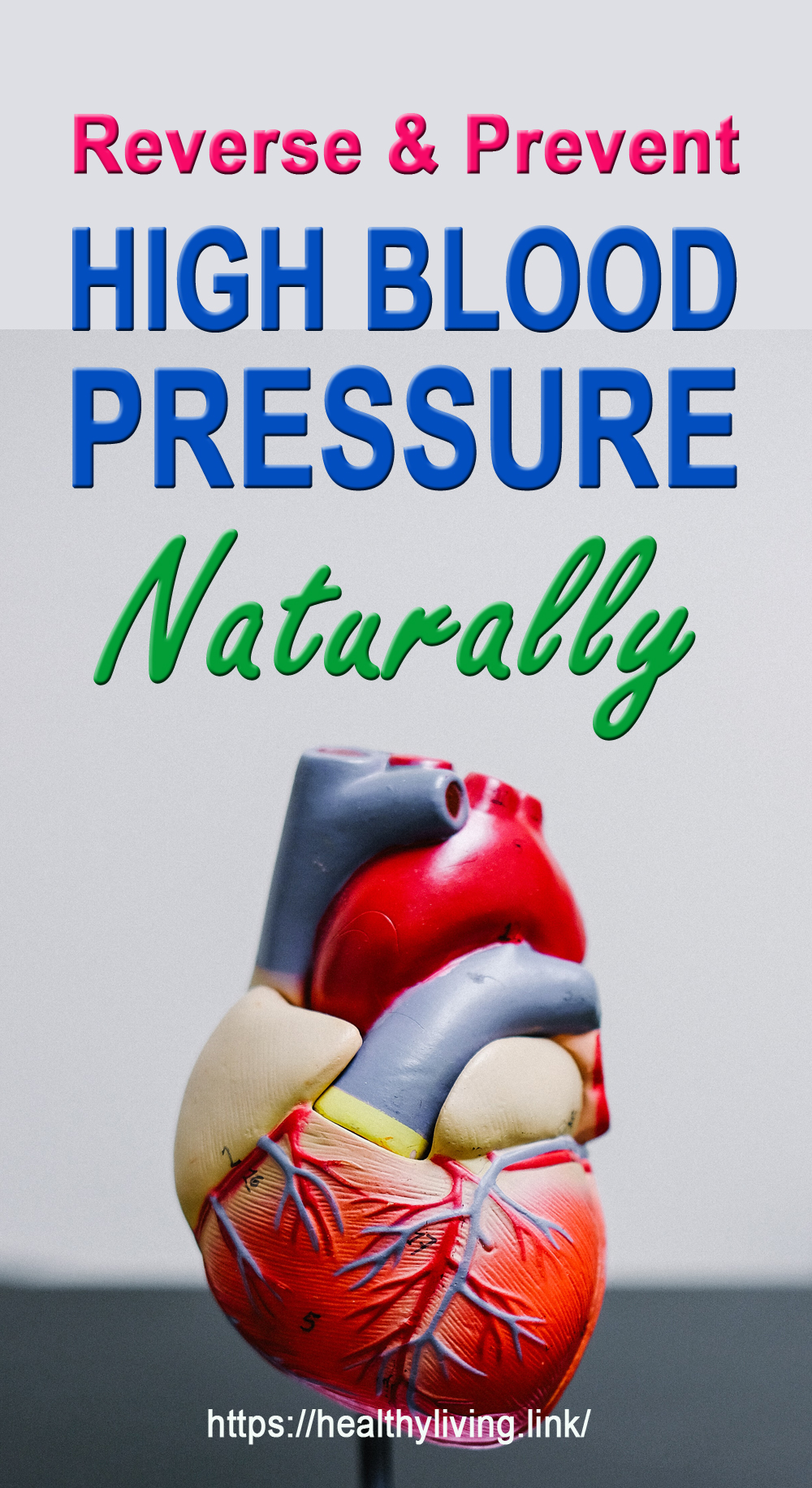 Reverse And Prevent High Blood Pressure Naturally - Healthy Living